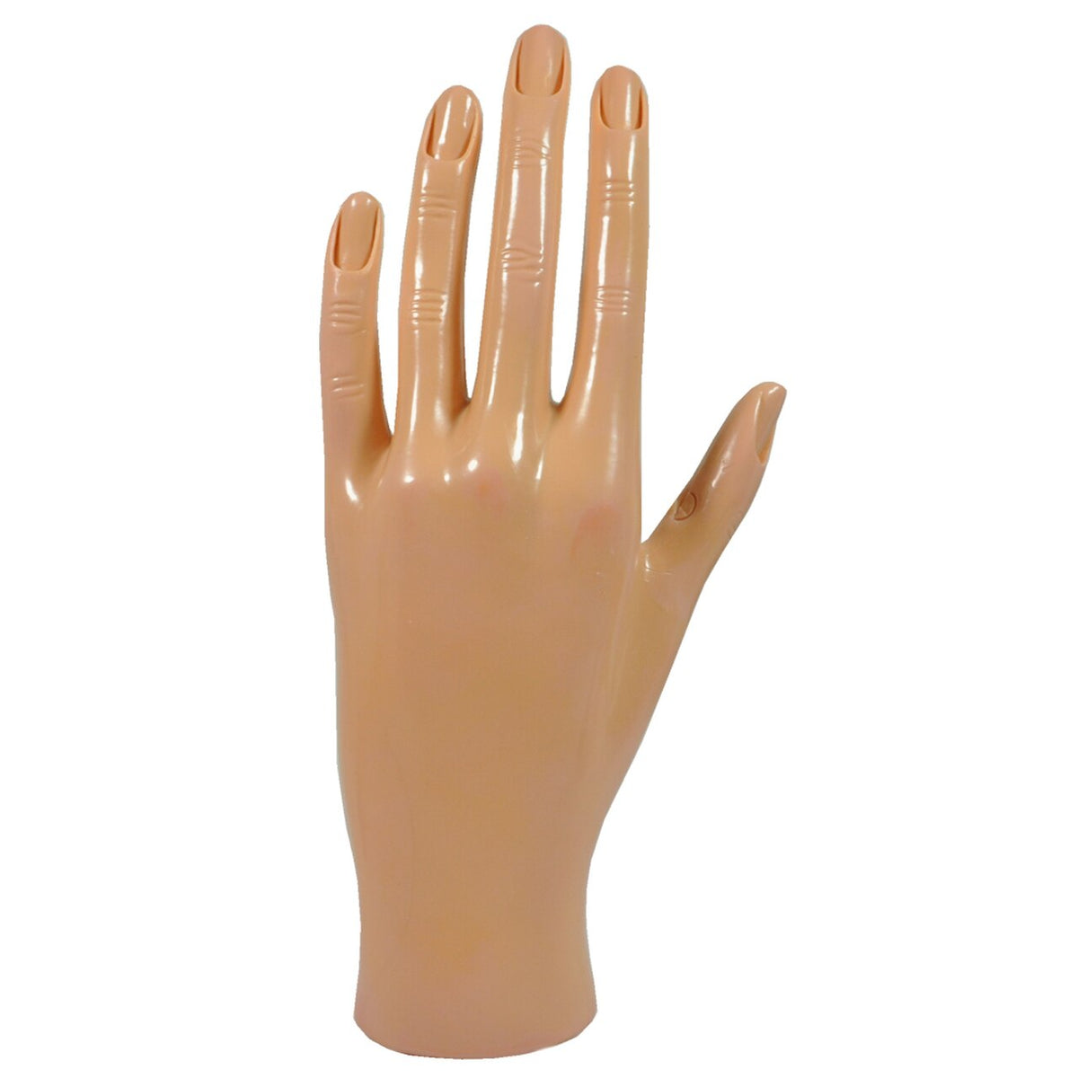 Diane Practice Hand – Wonder Beauty Supply